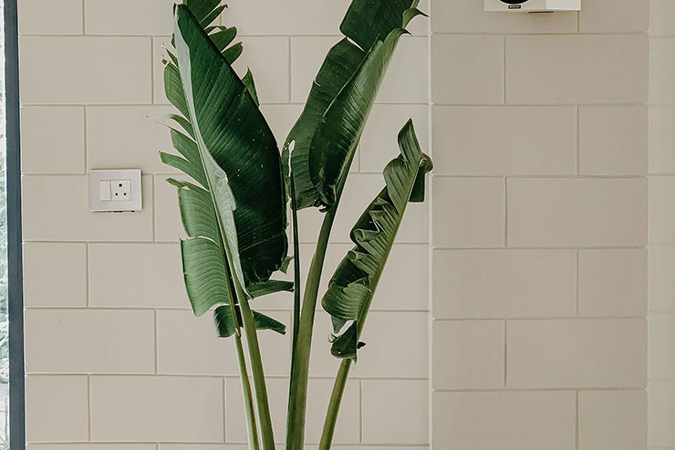 Fig at Malcha – The MONDO-DR Awards 2024